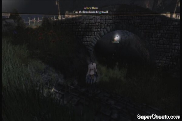 Silver Keys - Fable III Guide and Walkthrough