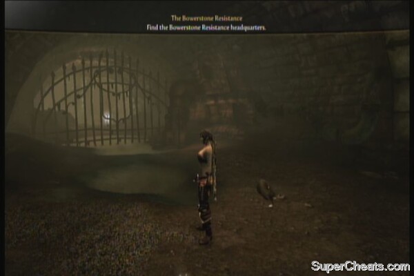 The Bowerstone Resistance - Fable III Guide and Walkthrough