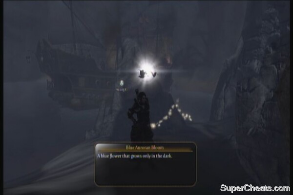 Aurora Flowers - Fable III Guide and Walkthrough