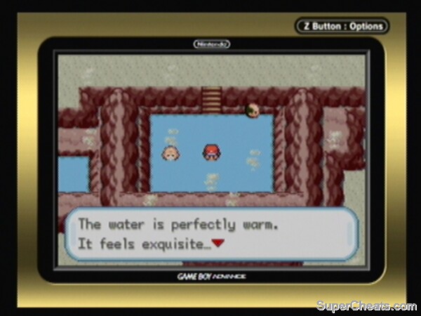 One Island -- A New Adventure! - Pokemon LeafGreen Guide and Walkthrough