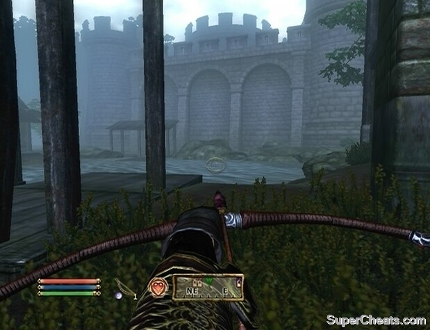 9: Permanent Retirement - The Elder Scrolls IV: Oblivion Guide and ...