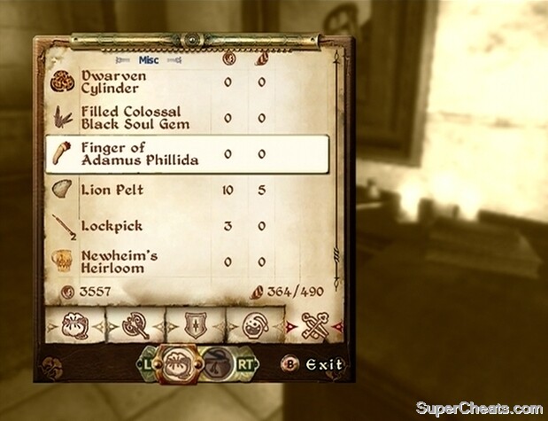 9: Permanent Retirement - The Elder Scrolls IV: Oblivion Guide and ...