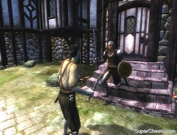 Cheydinhal Quests - The Elder Scrolls IV: Oblivion Guide and Walkthrough
