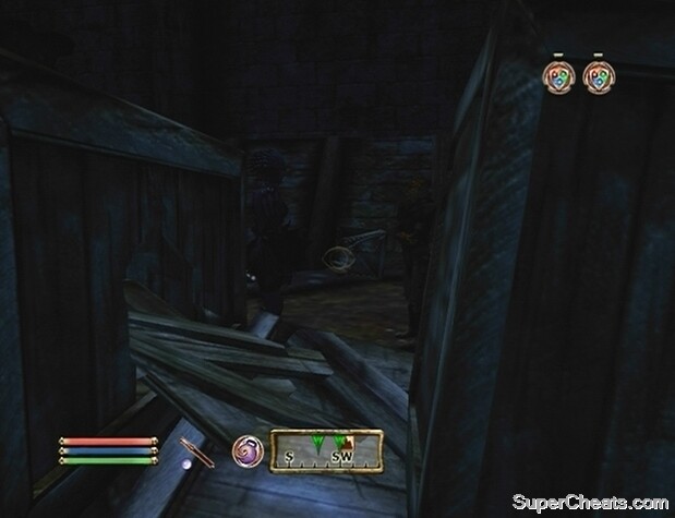 7: The Lady of Paranoia - The Elder Scrolls IV: Oblivion Guide and ...