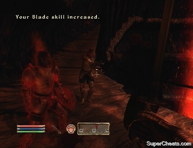 Cheydinhal Quests - The Elder Scrolls IV: Oblivion Guide and Walkthrough