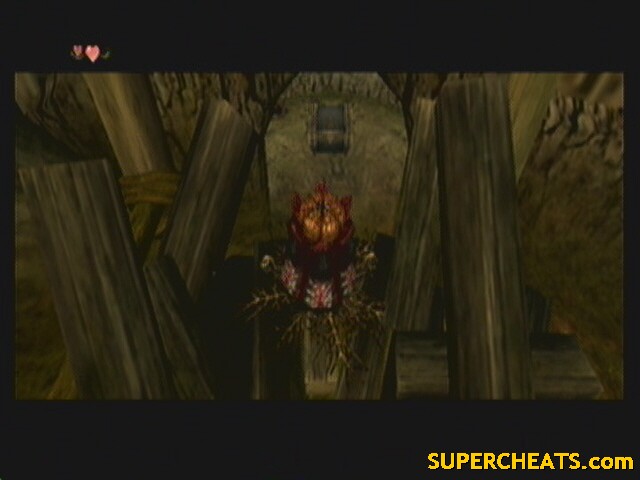 Forest Temple - The Legend of Zelda: Twilight Princess Guide and ...