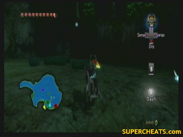 Poe Souls Guide - The Legend of Zelda: Twilight Princess Guide and ...