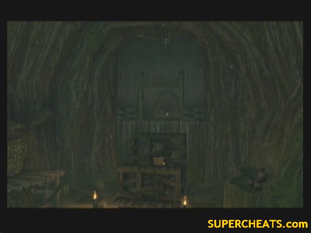 Forest Temple - The Legend of Zelda: Twilight Princess Guide and ...