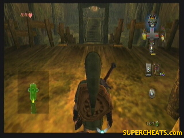 Forest Temple - The Legend of Zelda: Twilight Princess Guide and ...