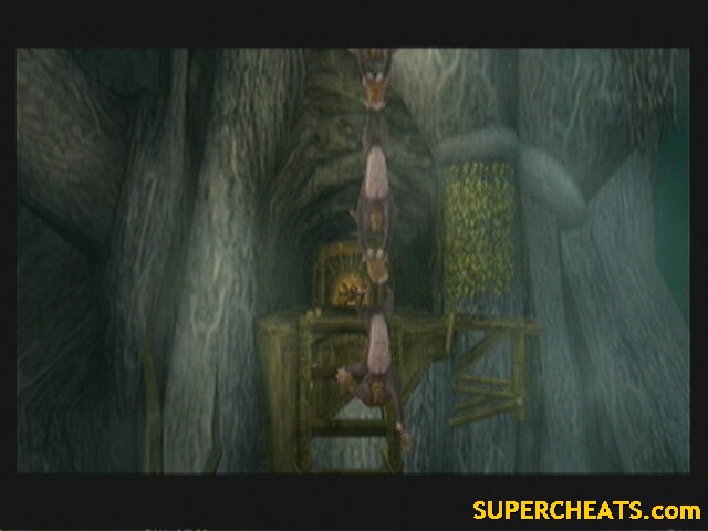 Forest Temple - The Legend of Zelda: Twilight Princess Guide and ...