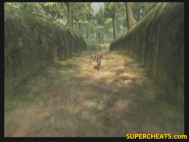 Forest Temple - The Legend of Zelda: Twilight Princess Guide and ...