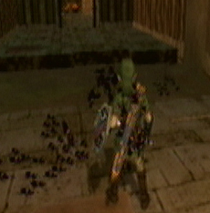 Enemy Guide - The Legend of Zelda: Twilight Princess Guide and Walkthrough