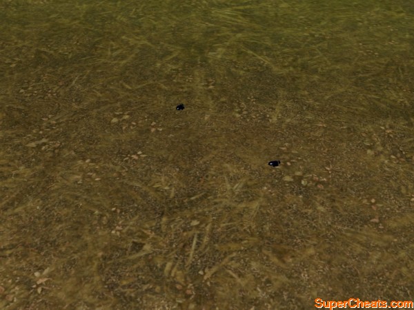 Collectibles and Collecting: Beetles - The Sims 3 Ambitions Guide and ...