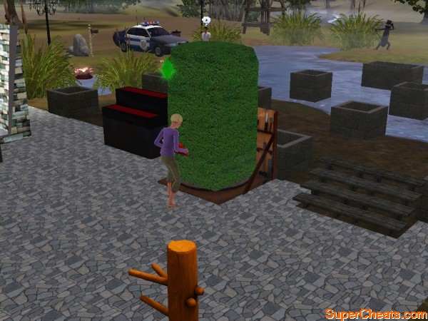 Careers The Sims 3 Ambitions Guide and Walkthrough