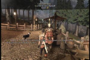 Mercenary Customs - Fable III Guide and Walkthrough