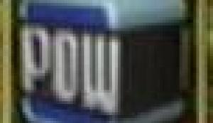 - Helping Items - Mario Kart Wii Guide and Walkthrough