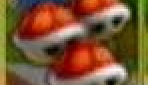 - Offensive Items - Mario Kart Wii Guide and Walkthrough