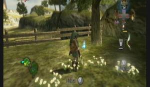 Golden Bug Guide - The Legend of Zelda: Twilight Princess Guide and ...