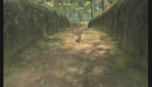 Forest Temple - The Legend of Zelda: Twilight Princess Guide and ...